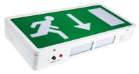 RS Pro LED Emergency Exit Sign, 3h Maintained, Down Arrow Graphic, 3 W ...